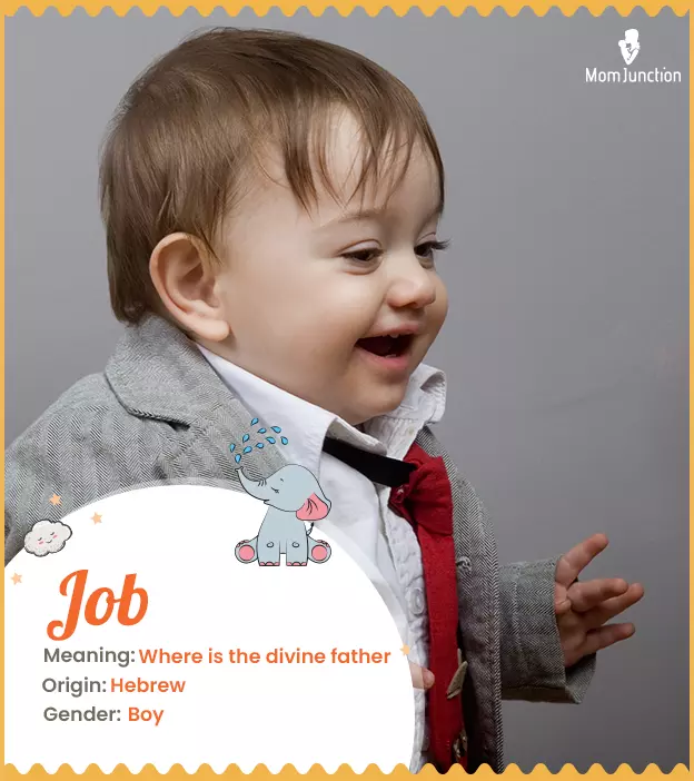 Job Baby Name Meaning, Origin And History - Complete Guide