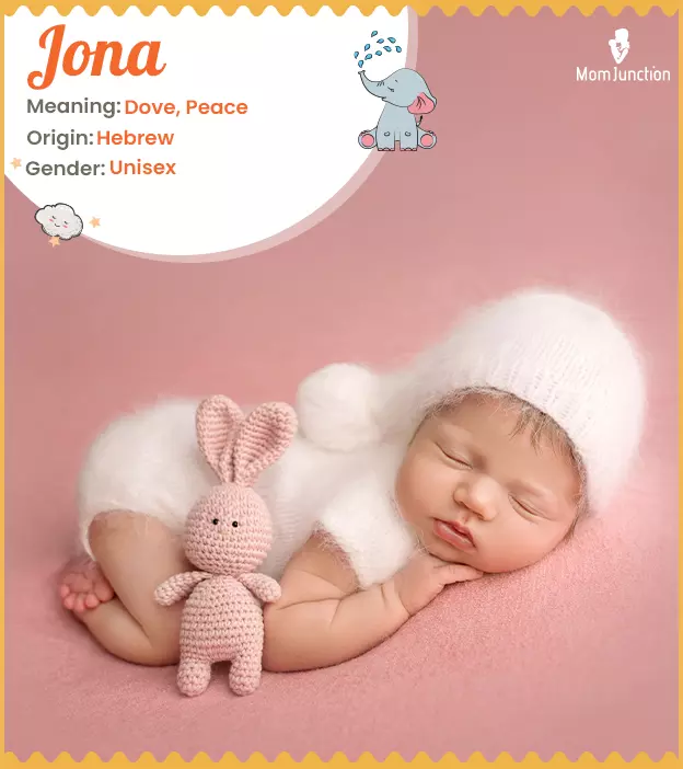 Jona Name Meaning, Origin, History, And Popularity
