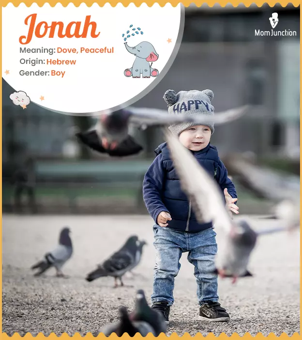 Jonah Name Meaning, Origin, History, And Popularity