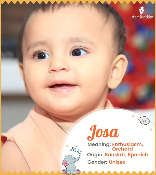 Explore Josa Name Meaning, Origin, History: A Complete Guide: Meaning ...