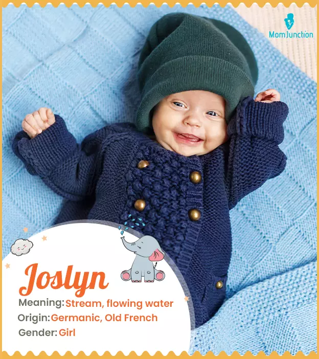 Joslyn Name Meaning: Origin, History, Pronunciation & Popularity