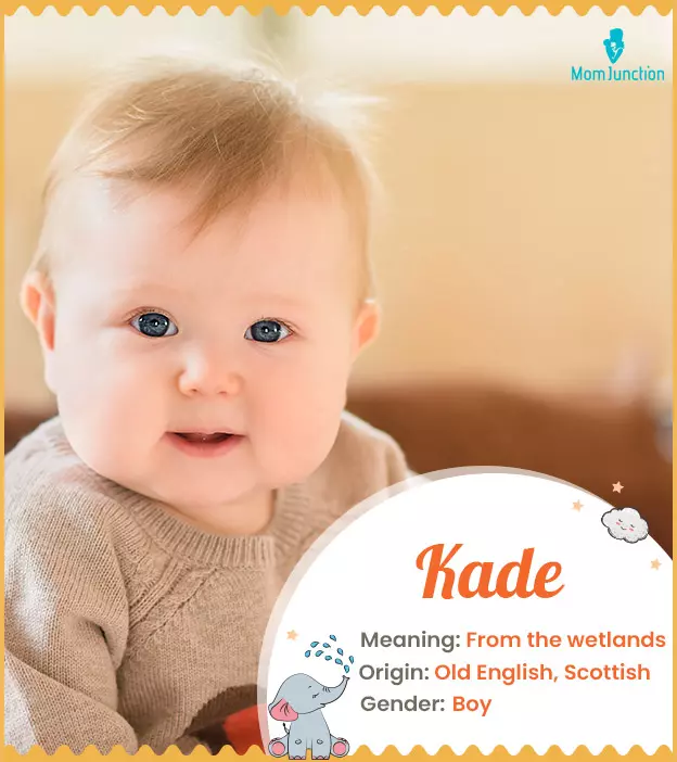 Kade Name Meaning, Origin, History, And Popularity