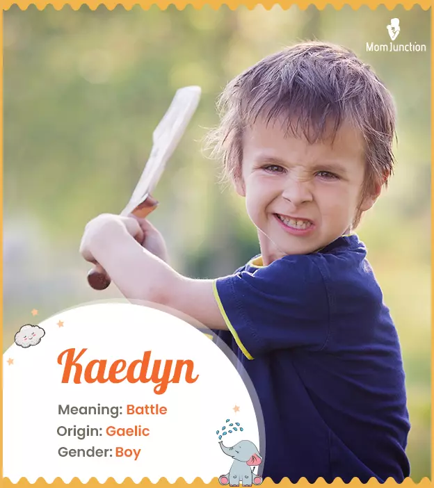 Explore Kaedyn Name Origin & Meaning: What You Should Know: Meaning ...