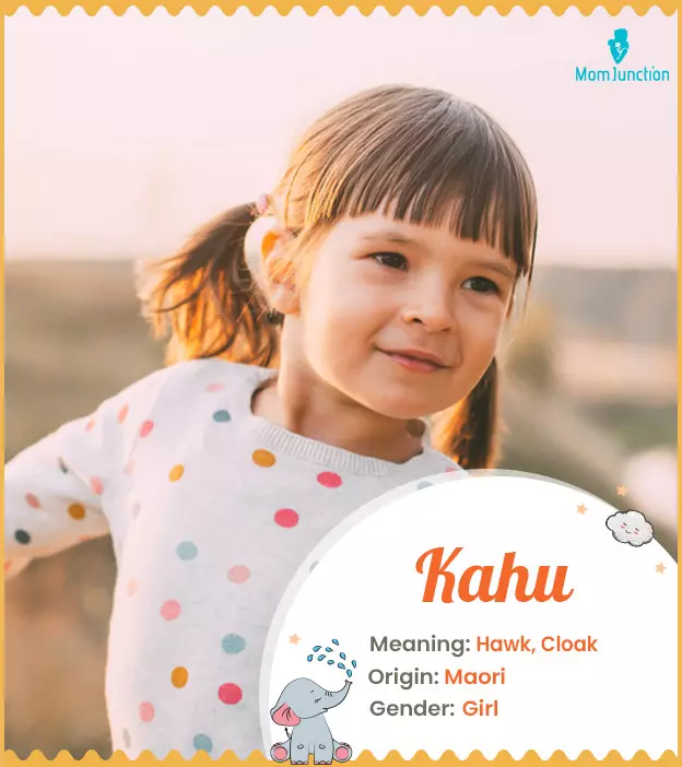 Kahu Name Meaning, Origin, History, And Popularity