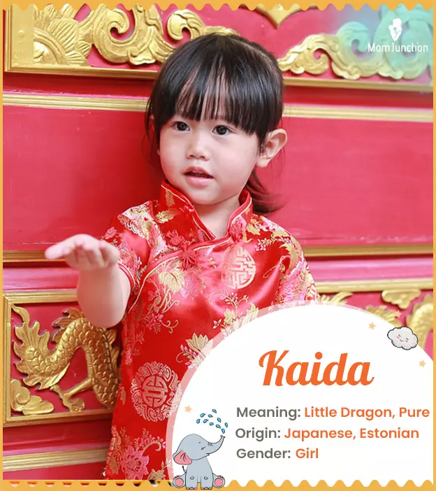 Kaida Name Meaning, Origin, History, And Popularity