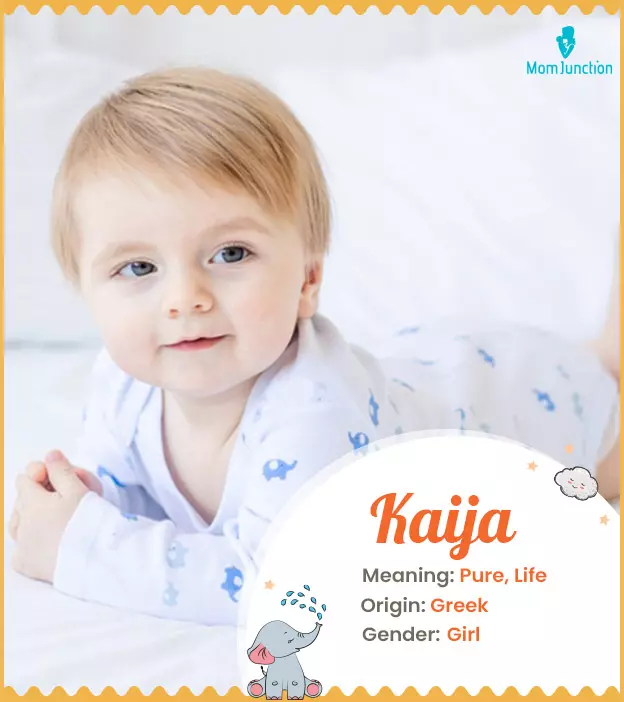 Kaija Name Meaning, Origin & Pronunciation: Complete Guide