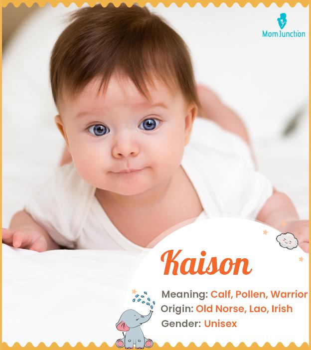 Explore Kaison: Meaning, Origin & Popularity