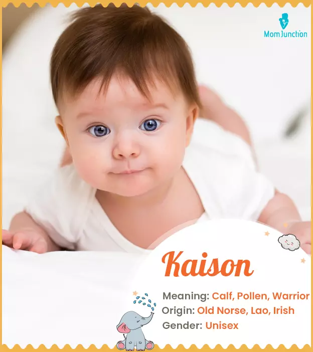 Explore Kaison: Meaning, Origin & Popularity