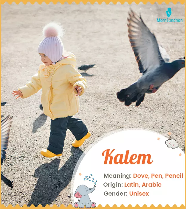 Explore Kalem: Origin, Meaning & Popularity Guide For 2025: Meaning ...
