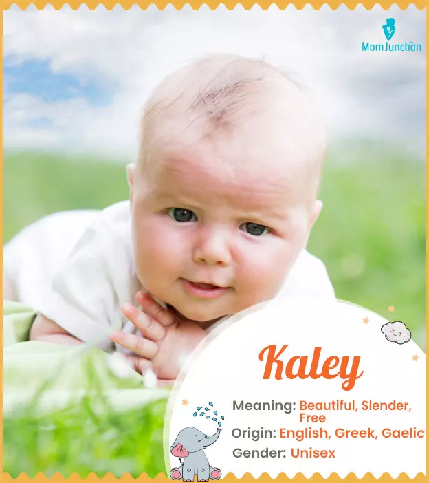 Kaley Name Meaning, Origin, History, And Popularity