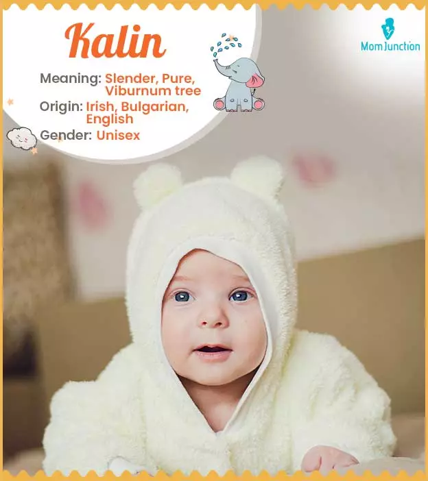 Kalin Name Meaning, Origin, History, And Popularity