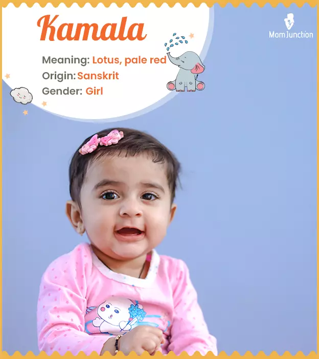 Kamala Name Meaning And History: A Comprehensive Guide