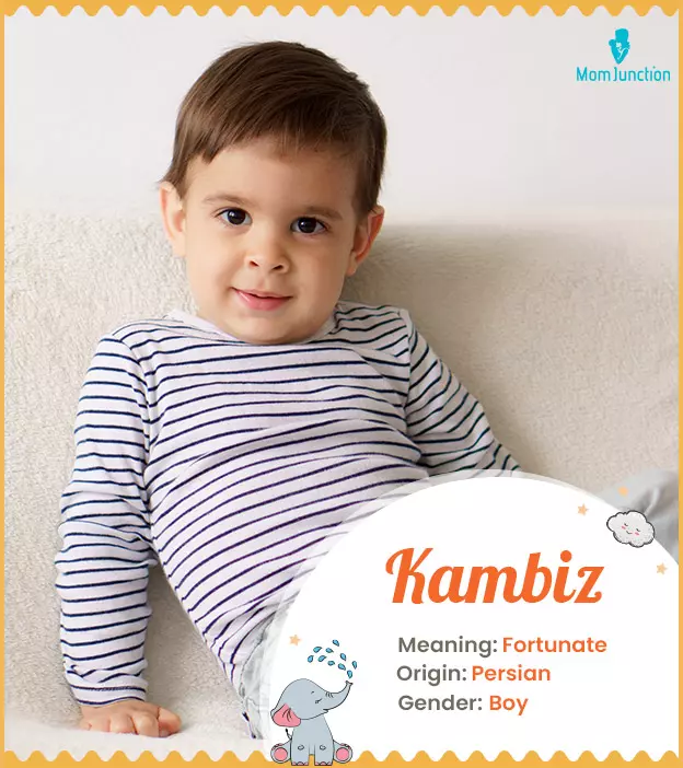 Kambiz Name Meaning, Origin, History, And Popularity
