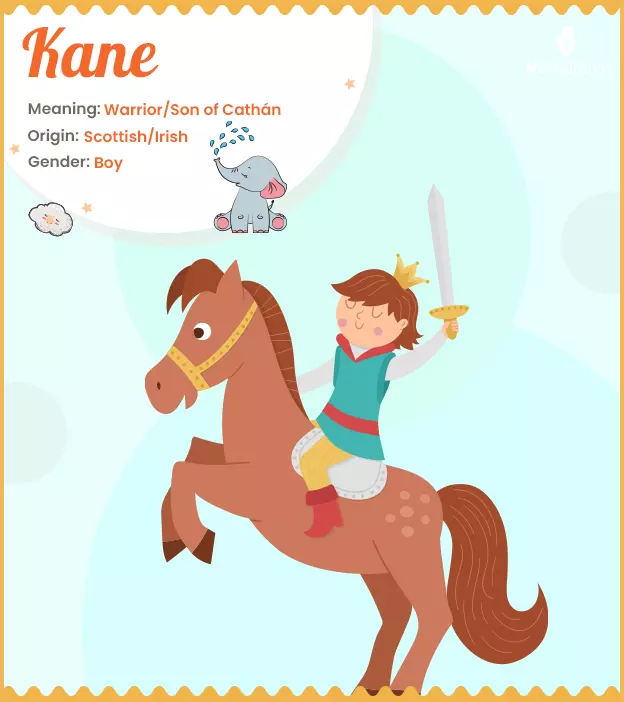 Kane Name: Complete Guide To Origin, Meaning, And Popularity