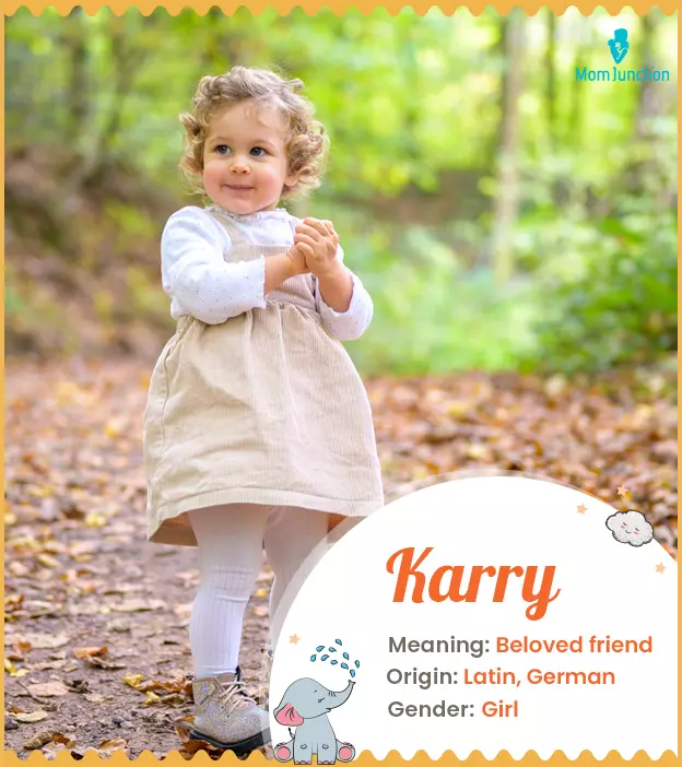 Explore Karry: Meaning, Origin & Popularity