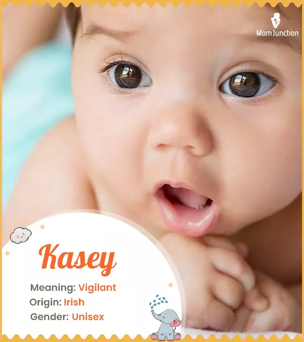 Kasey Name Meaning, Origin, History, And Popularity