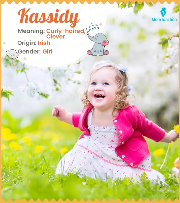 Explore Kassidy: Meaning, Origin & Popularity