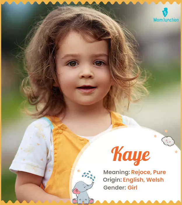 Explore Kaye Name Meaning: Complete Origin, History & Variations ...