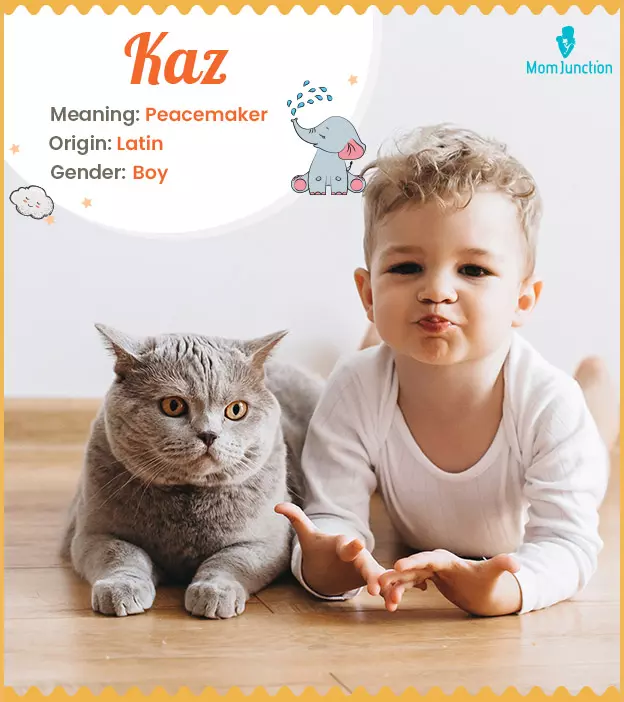 Kaz Name Meaning, Origin, History, And Popularity