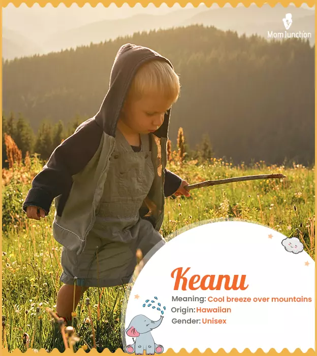 Keanu Name Meaning, Origin, History, And Popularity