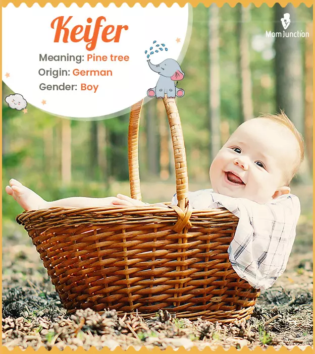 Keifer Name Origin And Meaning: A Comprehensive Guide