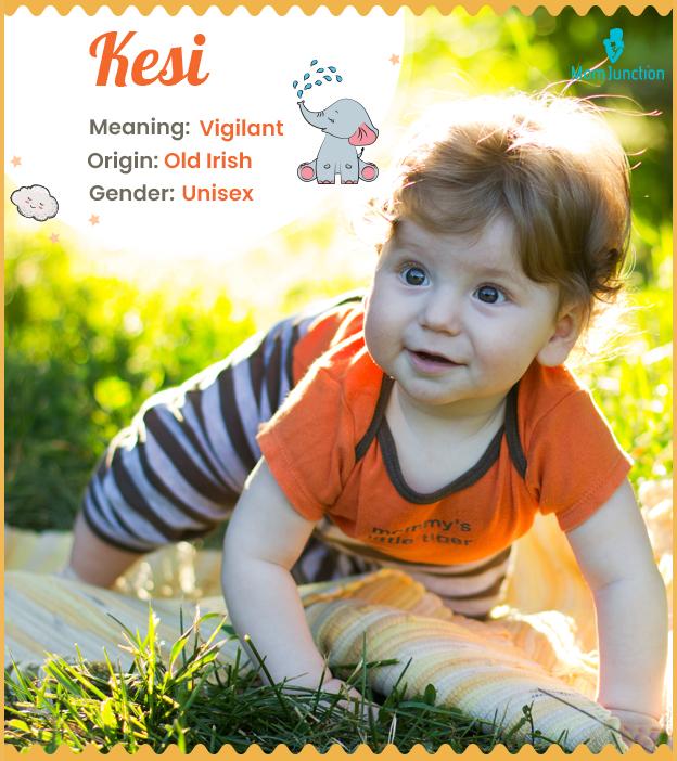 Explore Kesi: Meaning, Origin & Popularity