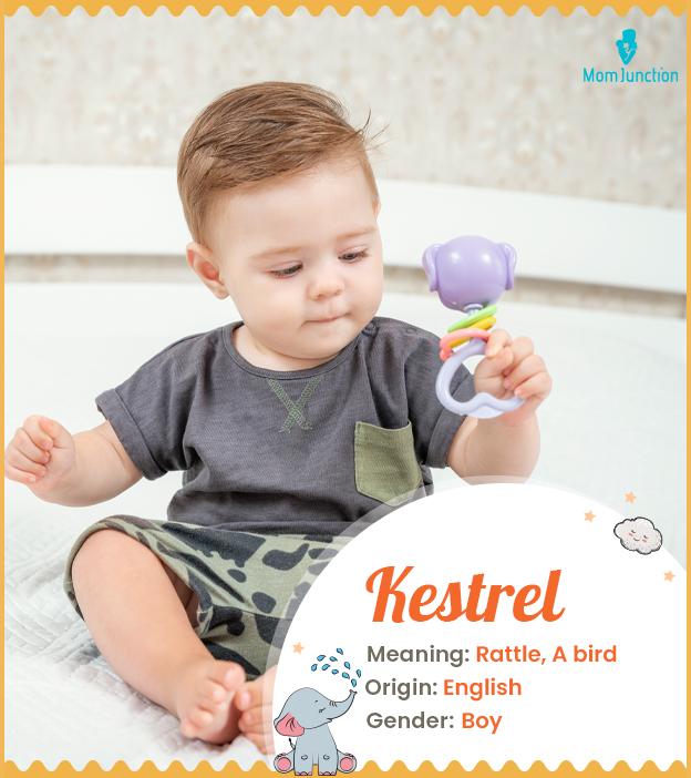 Naia Name Meaning, Origin, History, And Popularity