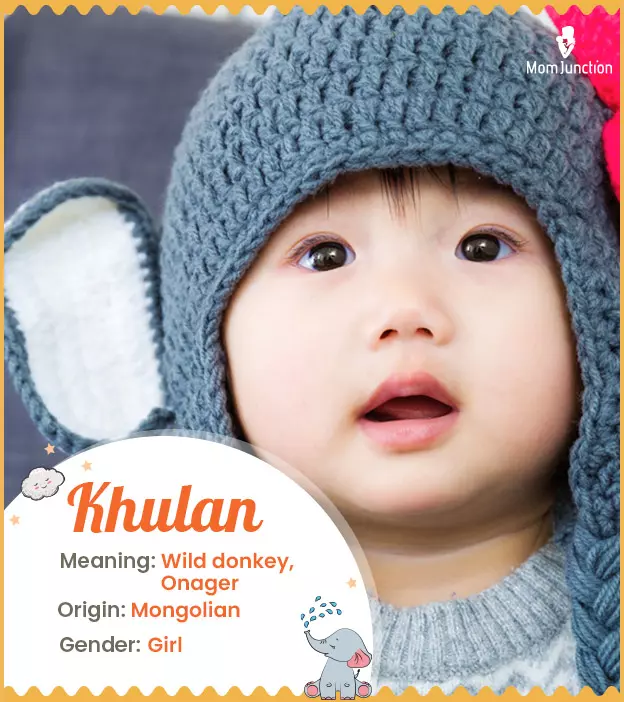 Khulan Name Meaning And History: Comprehensive Guide