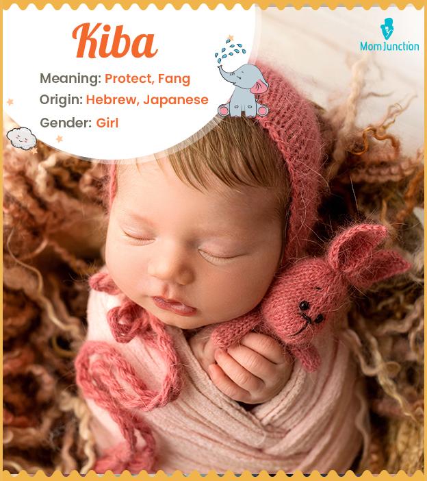 Lisa Pirro's Instagram, Twitter & Facebook on IDCrawl