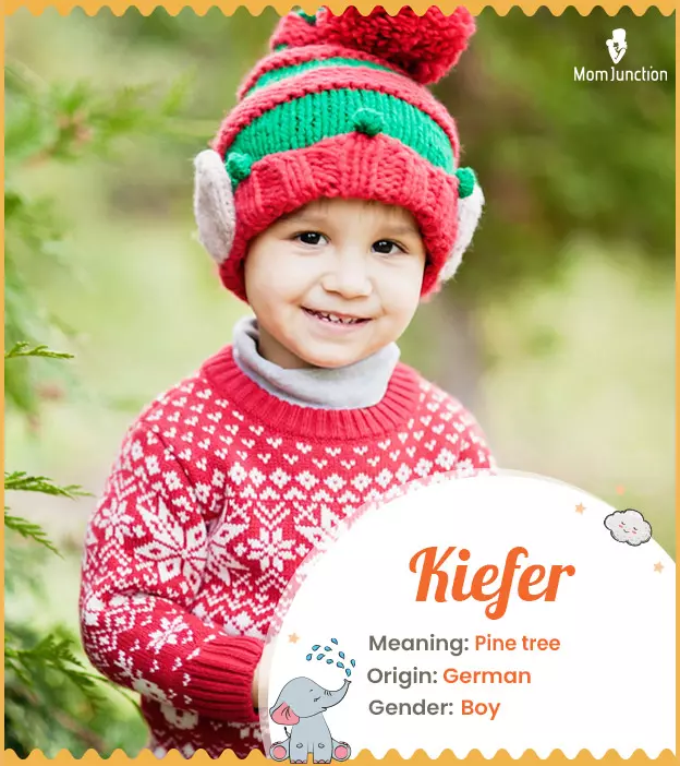 Explore Kiefer Name Meaning: Origin, History, And Top Nicknames ...