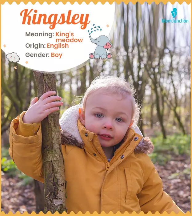 Kingsley Name, Meaning, Origin, History, And Popularity