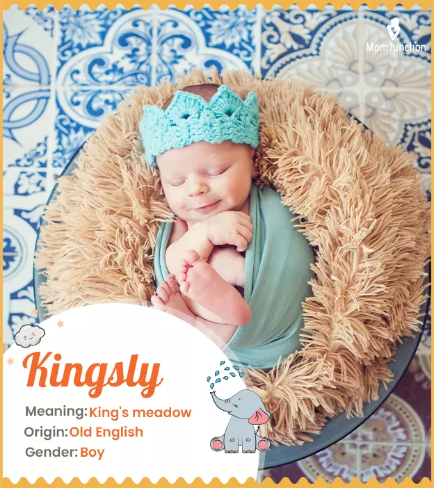 Kingsly Name, Meaning, Origin, History, And Popularity