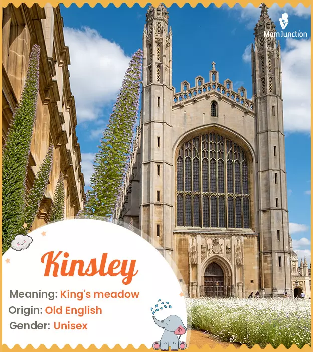 Kinsley Name Meaning, Origin, History, And Popularity