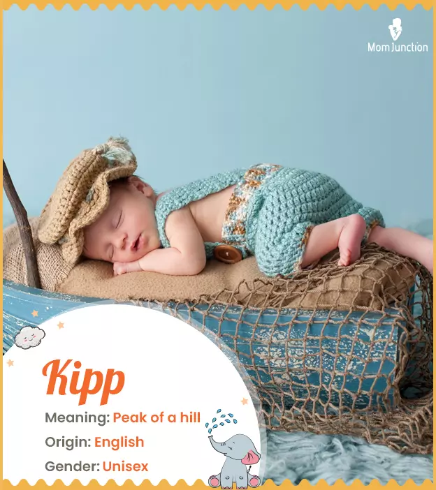 Explore Kipp Name Meaning: Expert Guide To Origin And Popularity ...