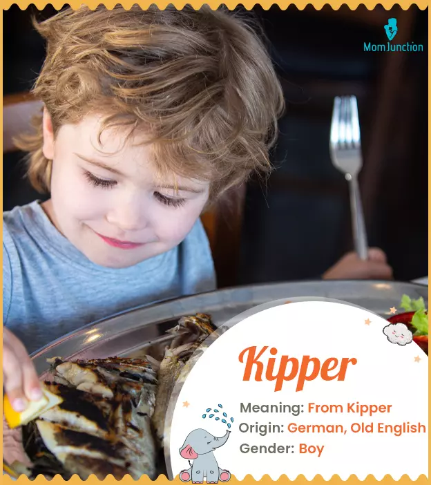 Explore Kipper: Meaning, Origin & Popularity