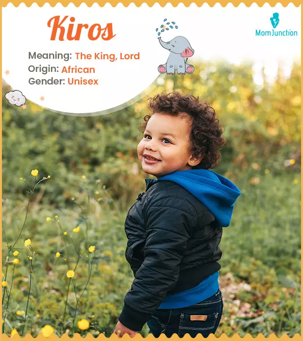 Kiros Name Meaning, Origin, History, And Popularity