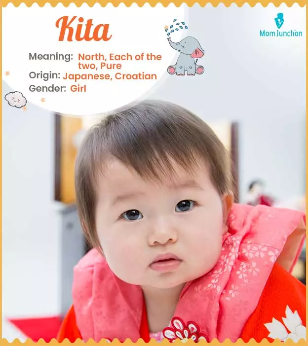 Explore Kita: Meaning, Origin & Popularity