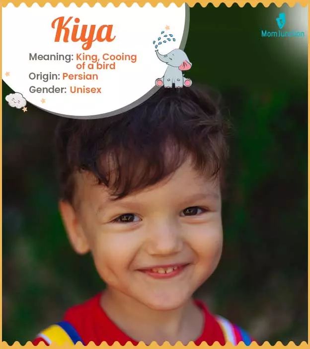 Kiya Name Meaning, Origin, History, And Popularity