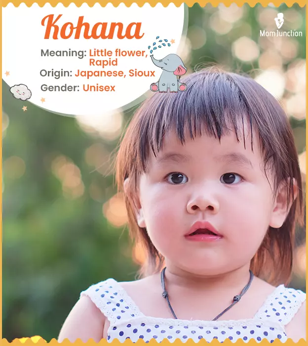 Kohana Meaning, Origin, History, And Popularity