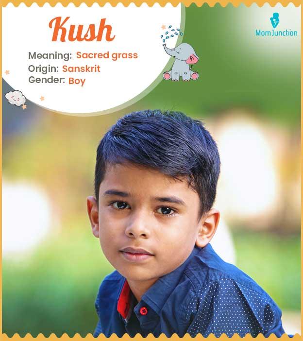 Kush Name Meaning, Origin, History, And Popularity