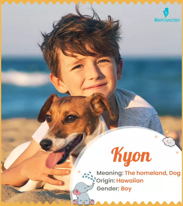 Kyon Name Meaning, Origin, History, And Popularity
