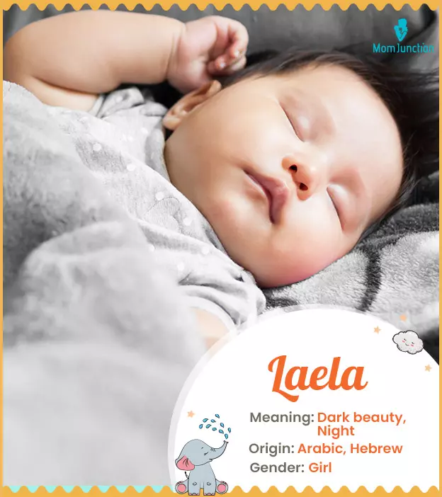 Laela Name Meaning, Origin, History, And Popularity