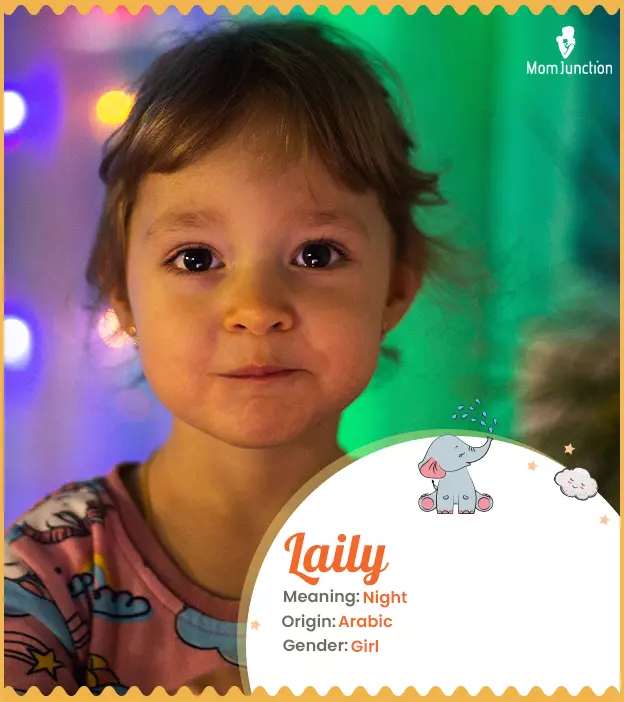 Explore Laily Name Meaning And Origin: Complete Guide: Meaning, Origin ...