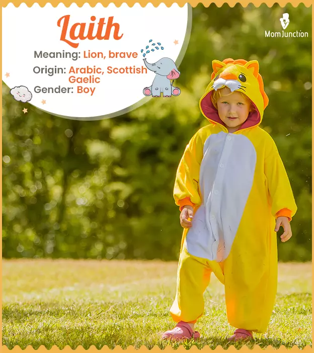 Laith Name Meaning, Origin, History, And Popularity