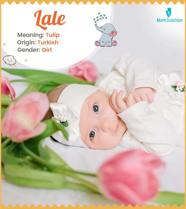 Dionisia Name Meaning, Origin, History, And Popularity