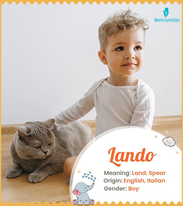 Explore Naveed: Meaning, Origin & Popularity