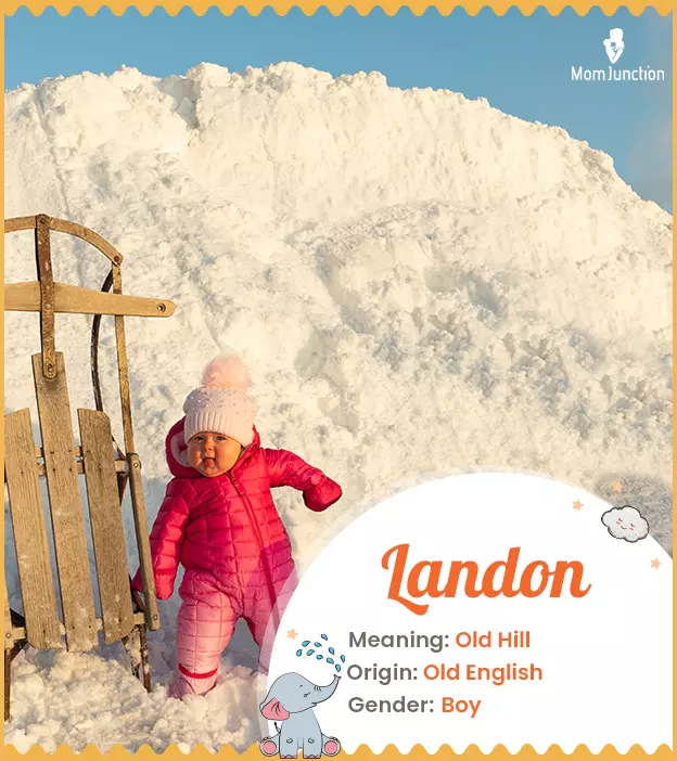 Landon Name Meaning: Origin, History & Popularity Guide