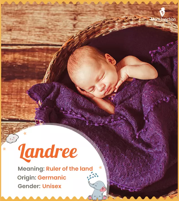 Explore Landree Name Meaning, Origin, And Popularity: Essential Guide ...
