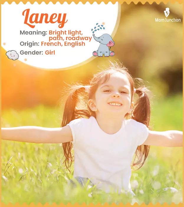 Laney Name Meaning, Origin, History, And Popularity