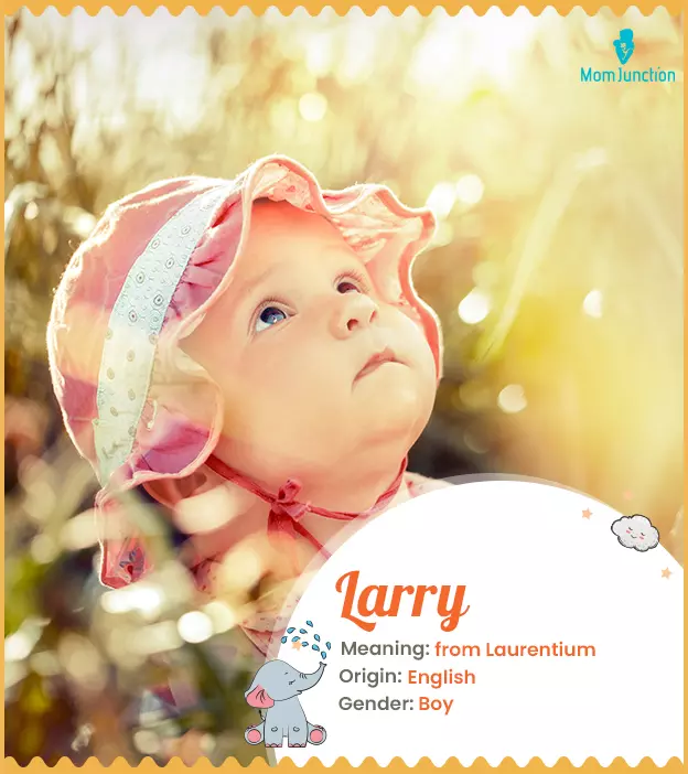 Larry Name Meaning And History: Complete Guide To Variations